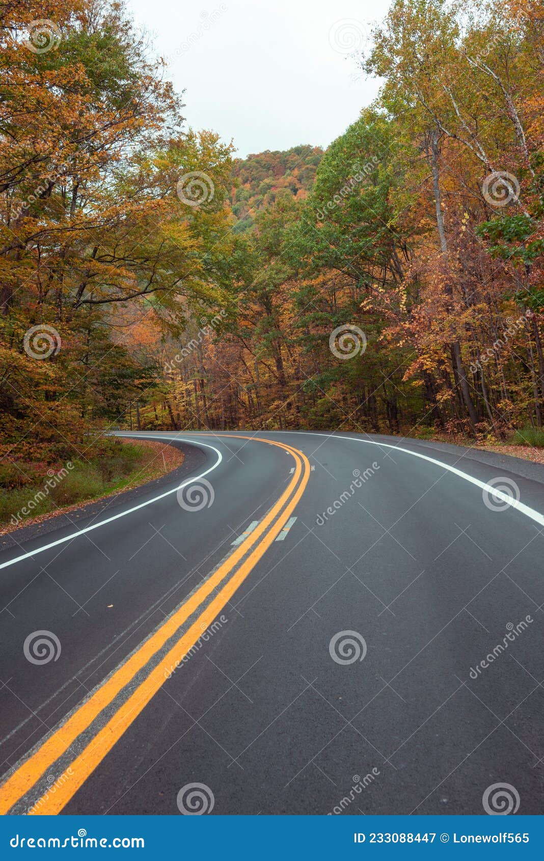 Winding Road in Autumn with Colors and Foliage Stock Image - Image of ...
