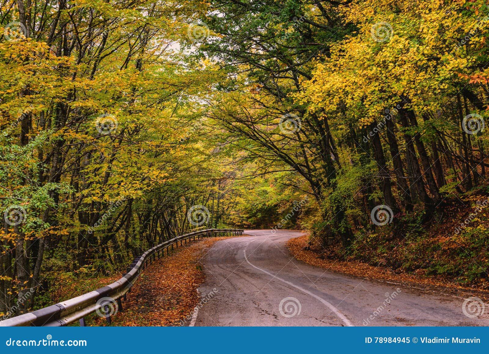 Winding Road Curves through Autumn Trees Stock Image - Image of road ...