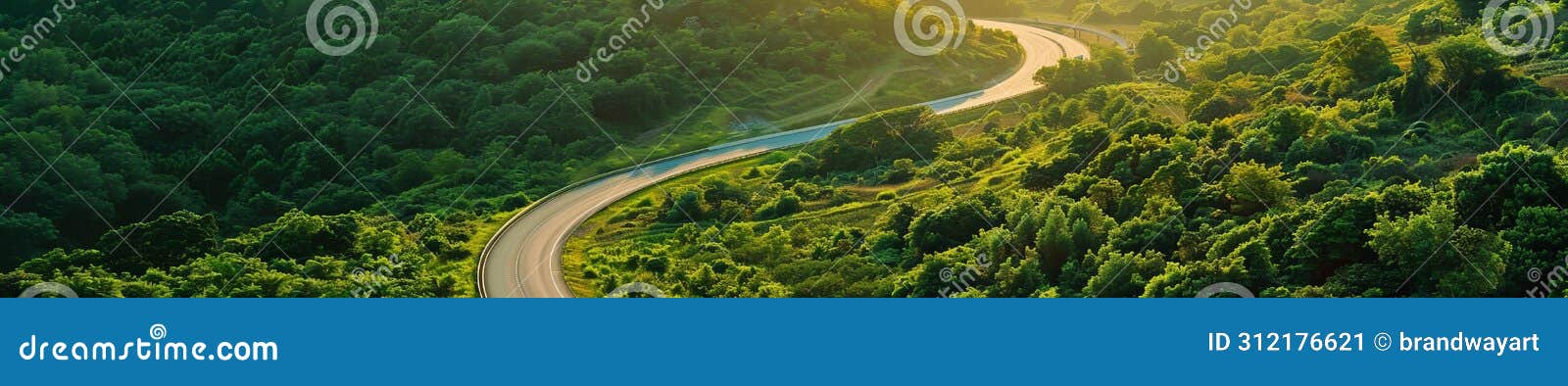 Twisting Path through Dense Forest Stock Illustration - Illustration of ...