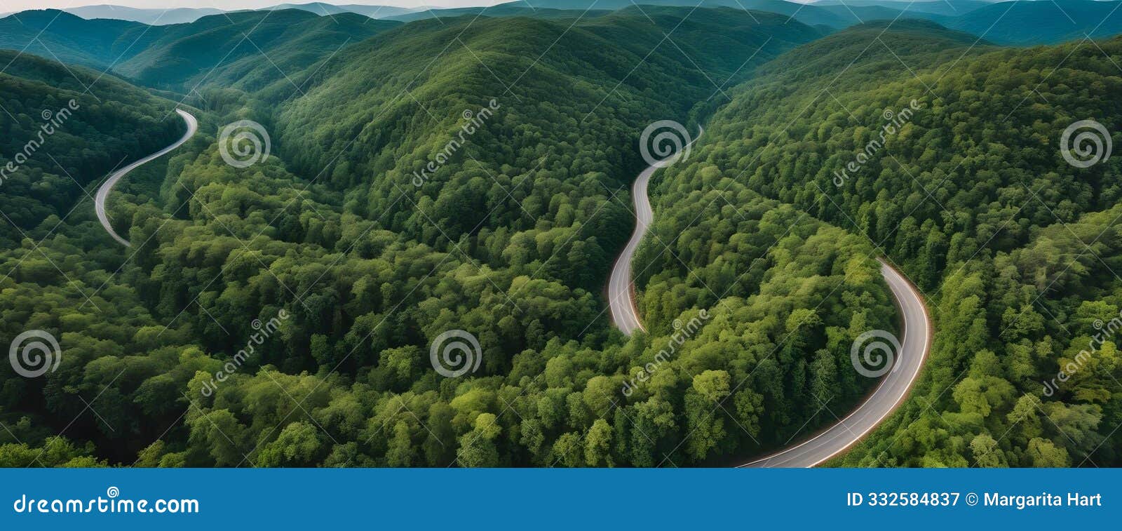 Winding Road through Dense Forest. Bird S Eye View Top View. AI ...