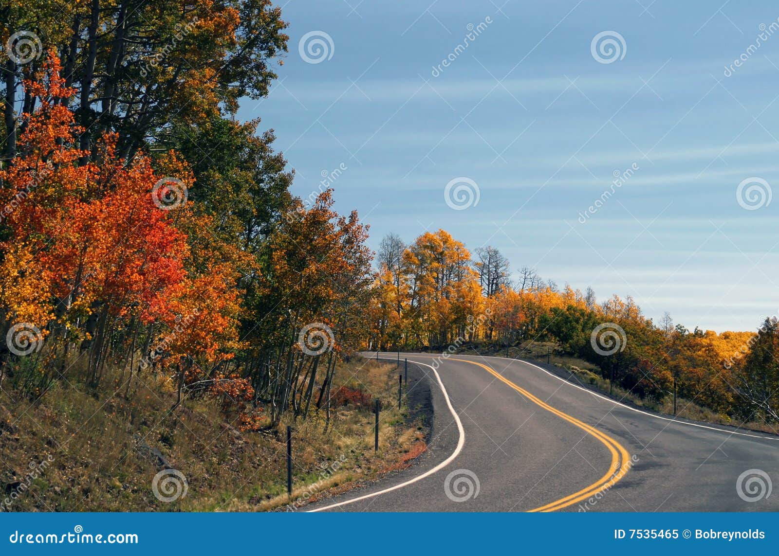 Winding Road with Fall Color Stock Image - Image of country, scenic ...