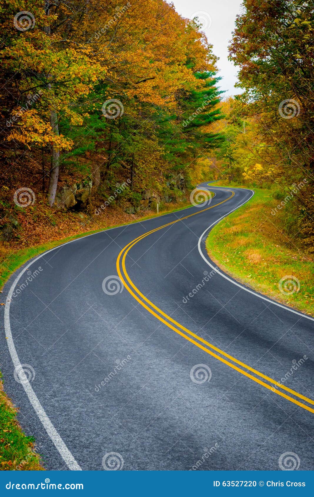 Winding Road stock photo. Image of orange, lines, trees - 63527220