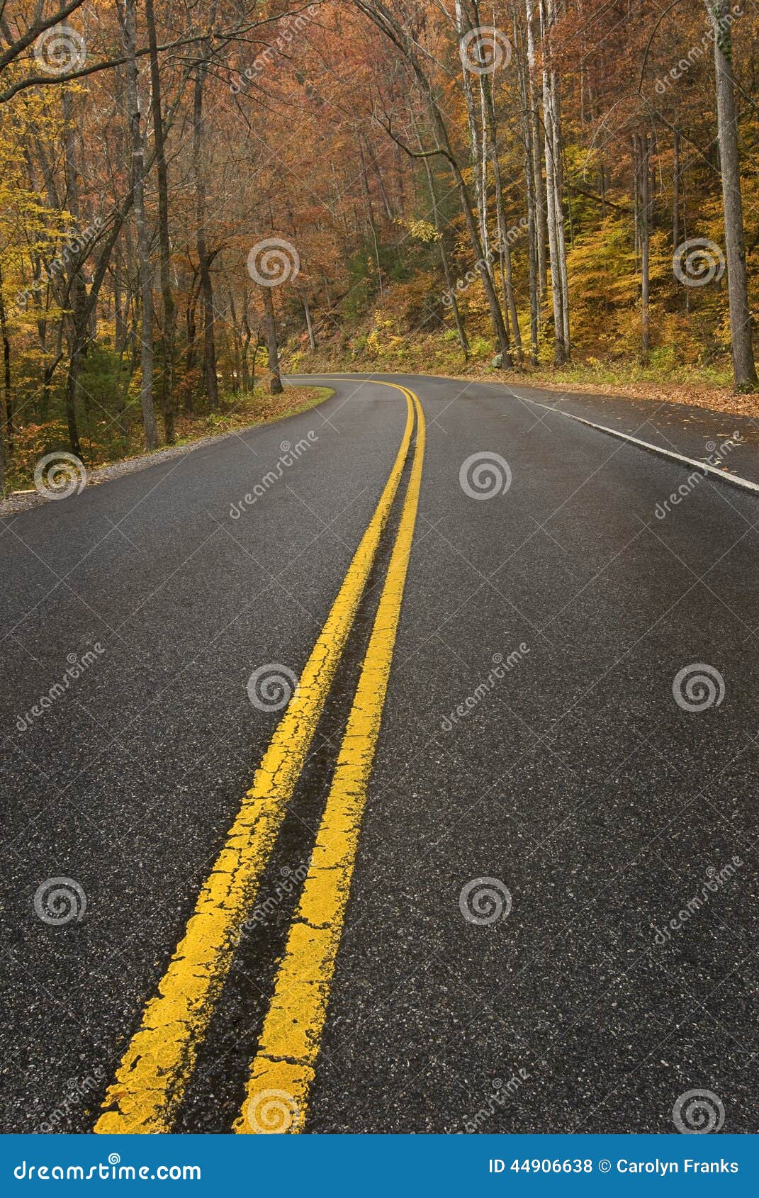 Winding Road in the Fall stock photo. Image of trees - 44906638
