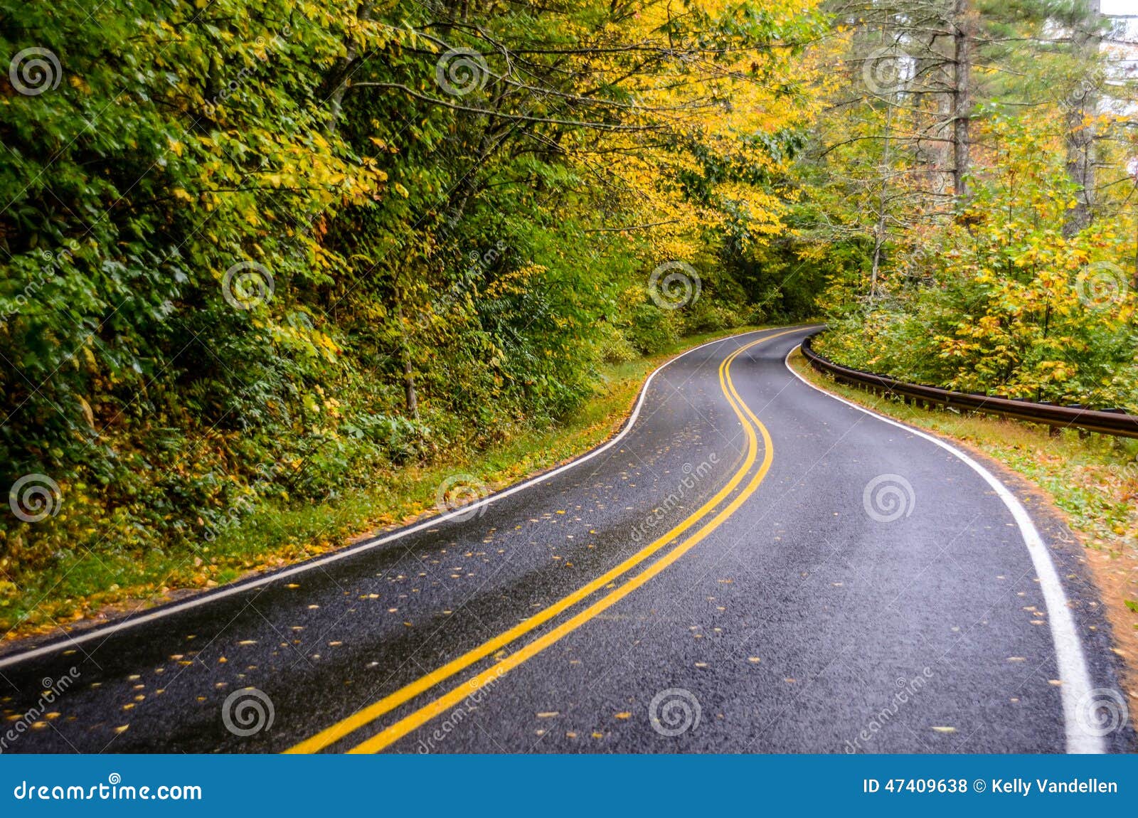 Winding Road in Fall stock photo. Image of rain, curve - 47409638