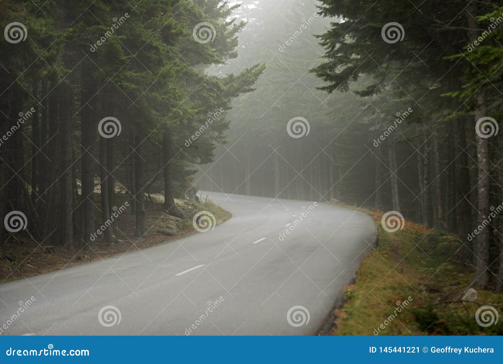 Winding Road in Fog stock image. Image of landscape - 145441221