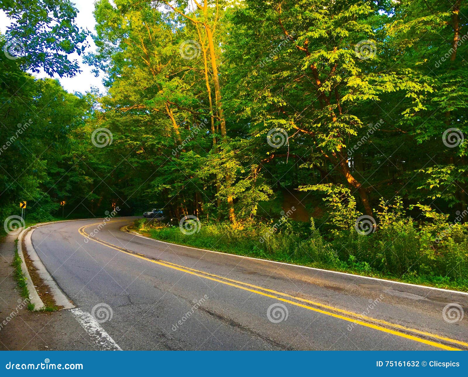 Winding Road stock photo. Image of trees, woods, winding - 75161632
