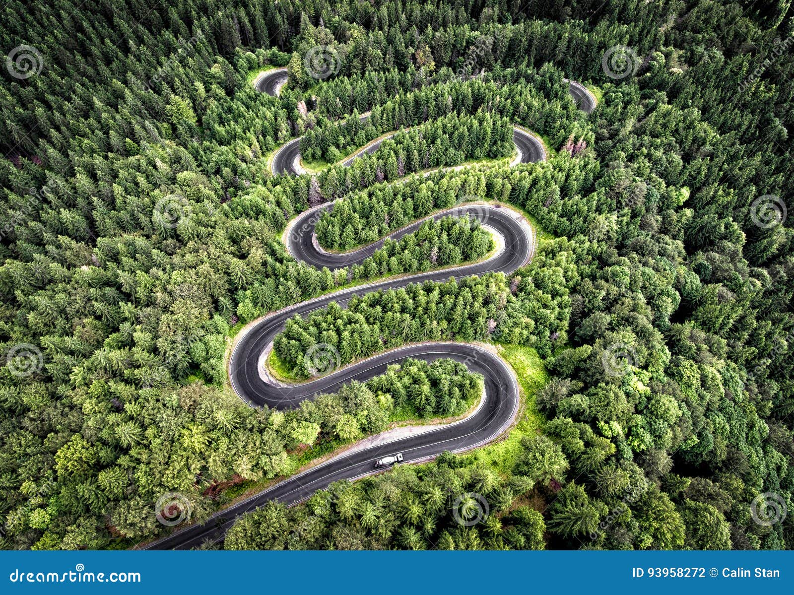 Winding road in the forest stock photo. Image of avenue - 93958272
