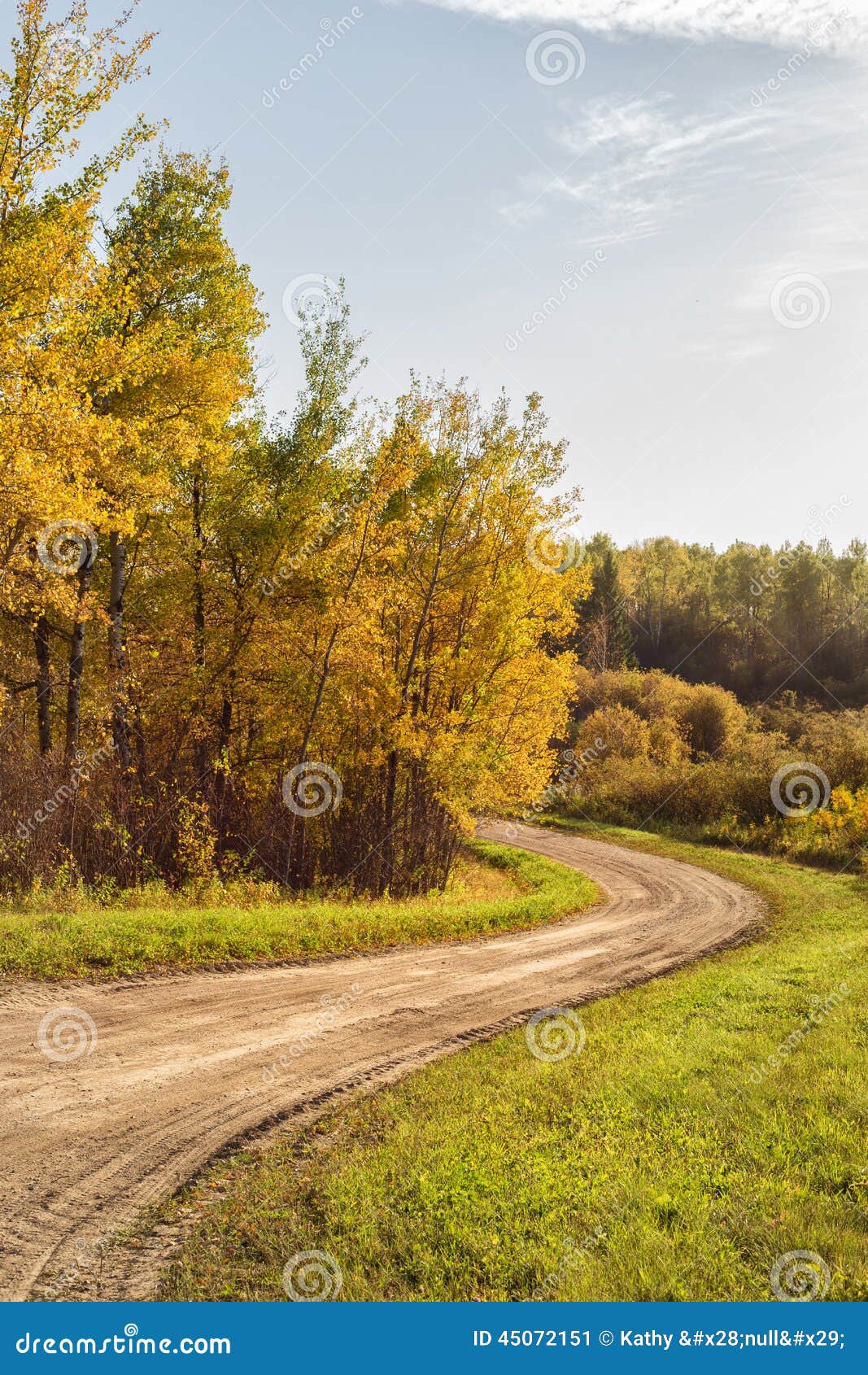 Winding Road through Forest Stock Image - Image of road, colored: 45072151