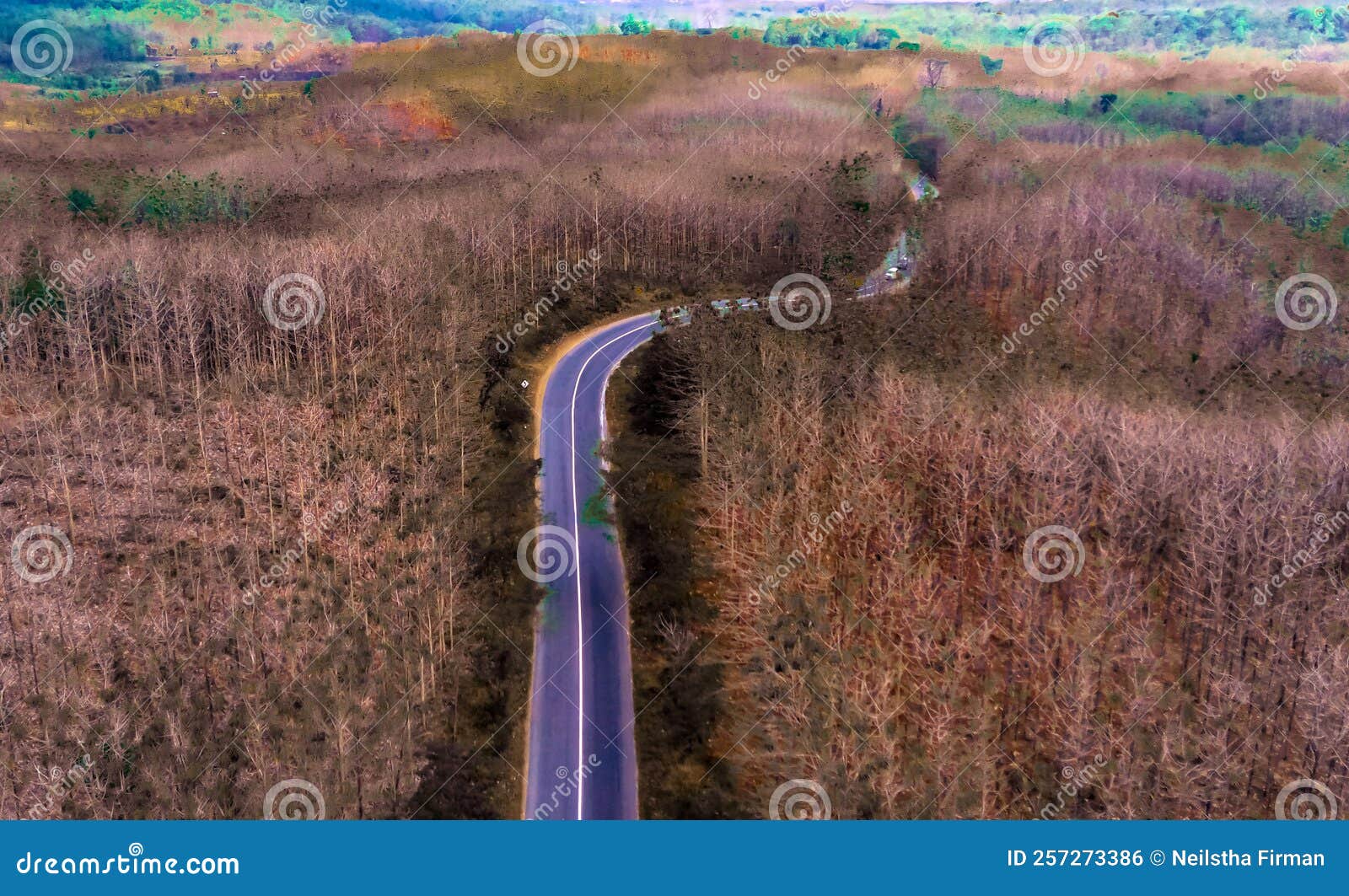 Winding Road through the Forest when in Summer Stock Photo - Image of ...