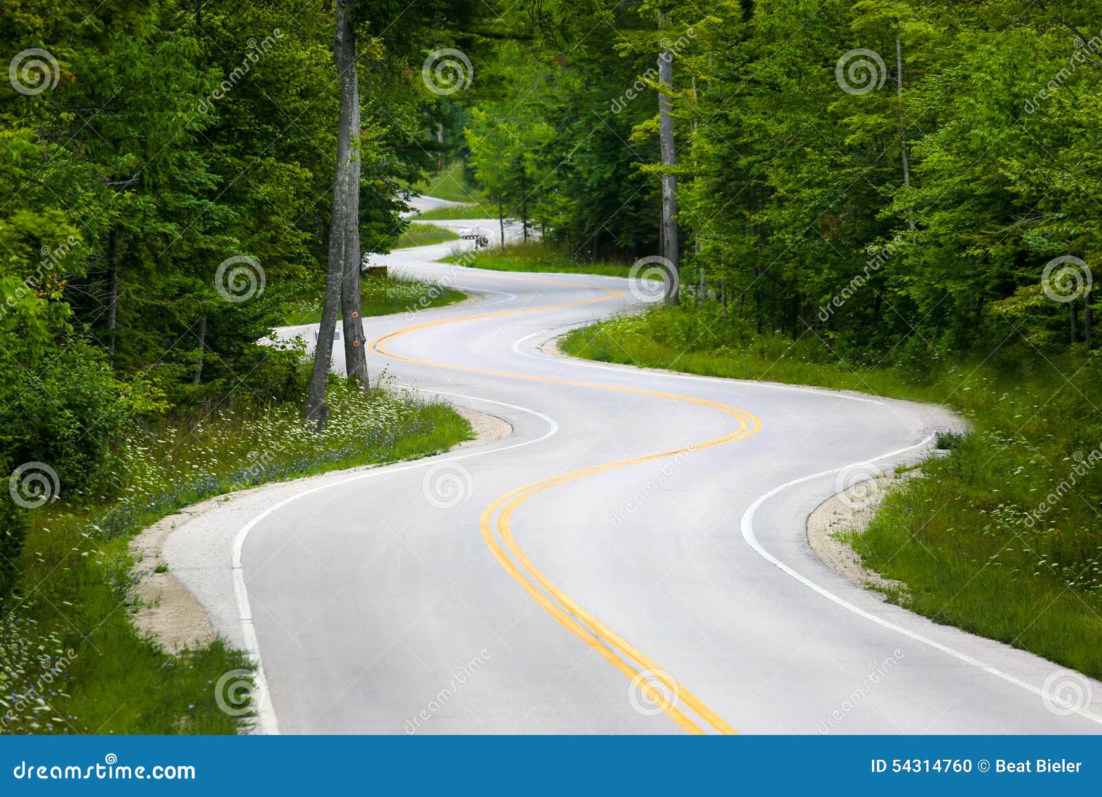 Winding Road in Forest stock photo. Image of transportation - 54314760