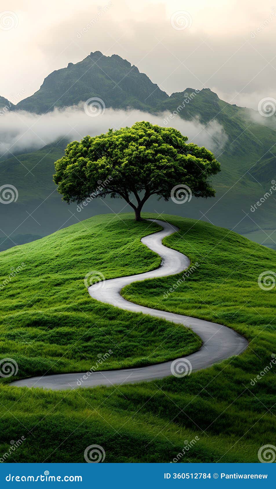 Winding Road through Green Hills with Mountain Background Stock ...