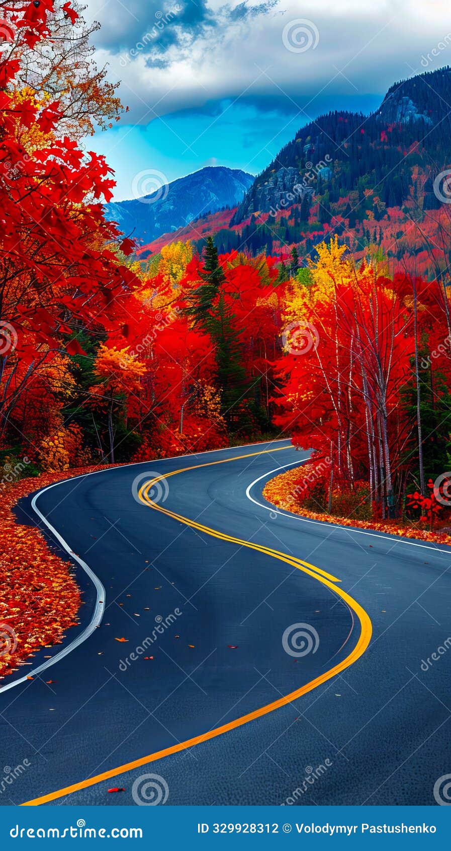 A Winding Road in the Middle of a Forest in the Fall Stock Photo ...