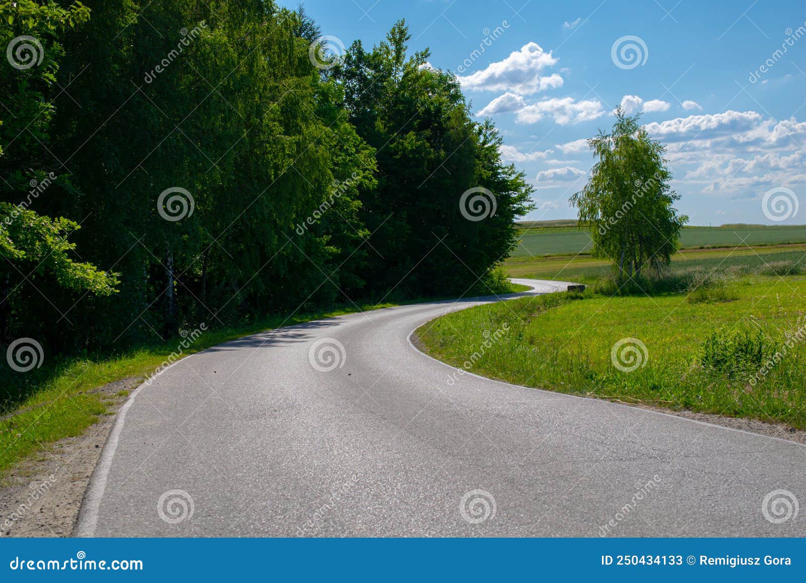 Winding road among the pol stock image. Image of nature - 250434133