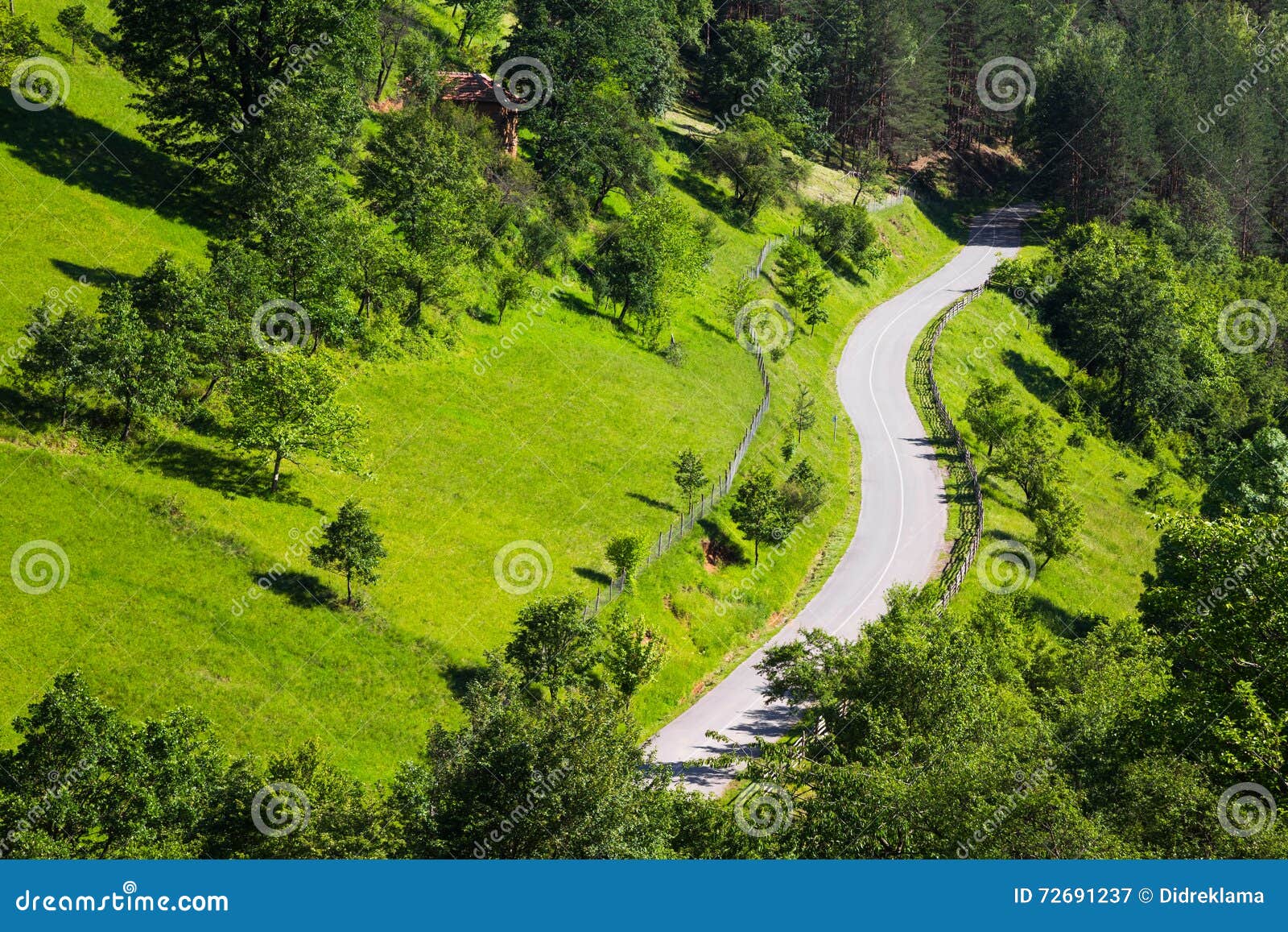 Winding Road through Scenic Forested Scenery Stock Image - Image of ...