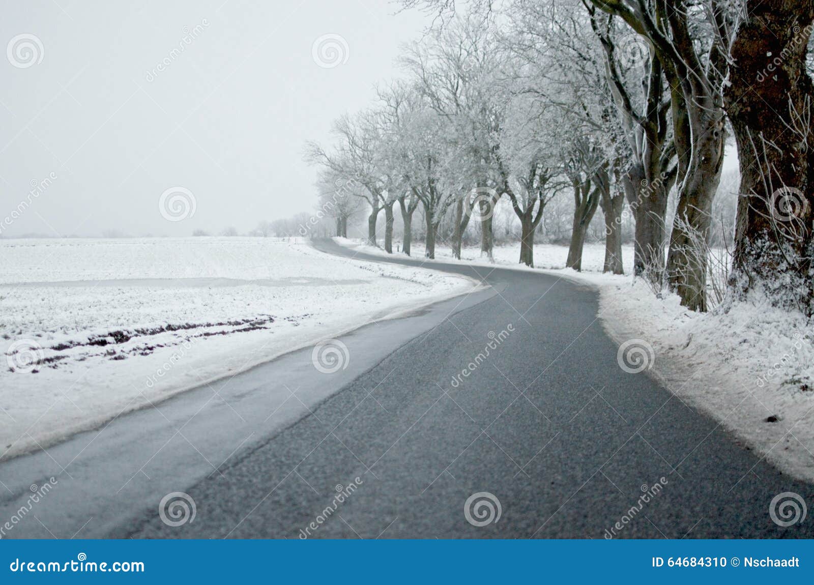 Winding road and snow stock photo. Image of denmark, snow - 64684310
