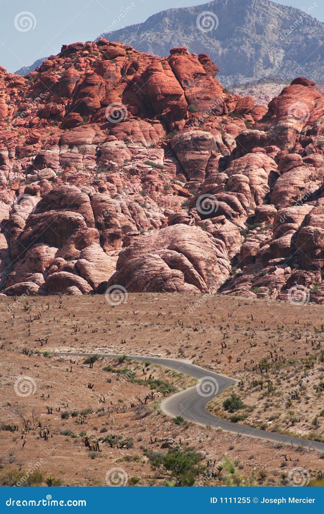 Winding Road Toward Mountains Stock Image - Image of windswept, tree ...