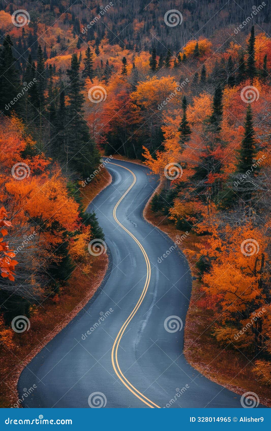 A Winding Road with Trees on Both Sides and a Beautiful Autumn ...