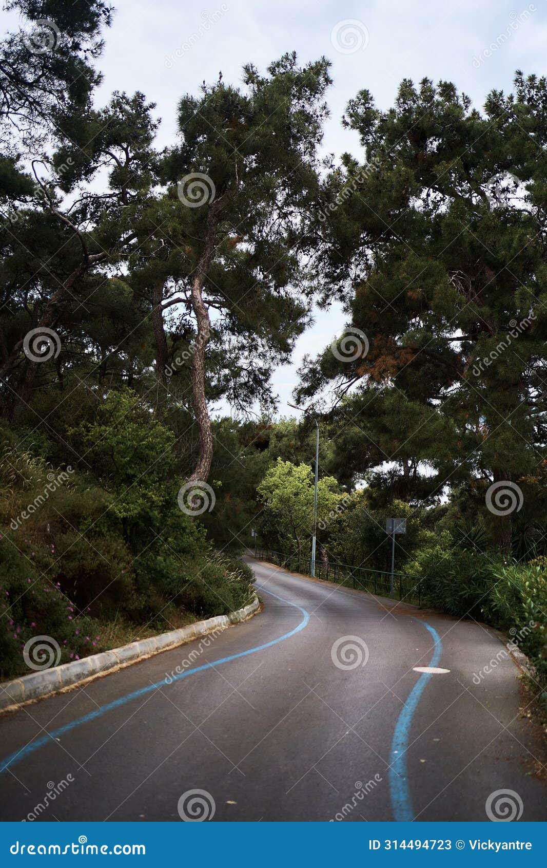 Winding Road through the Trees on Prince S Island Stock Image - Image ...