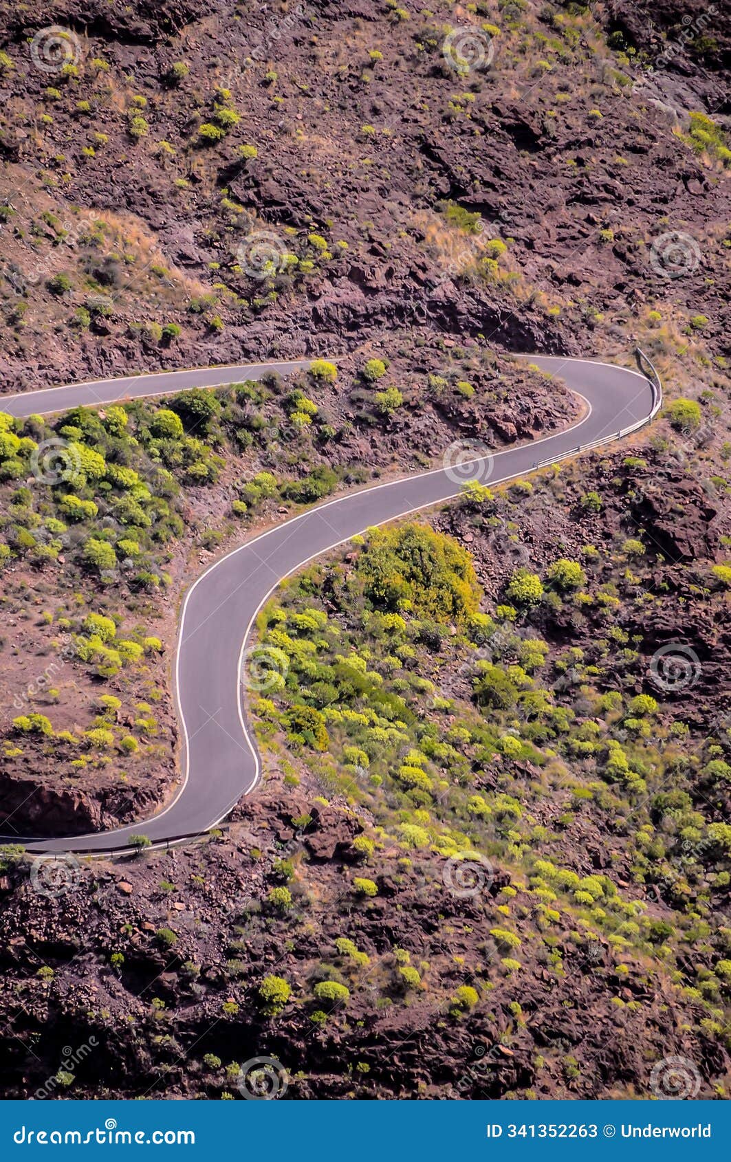 A Winding Road with Trees on the Side of the Road Stock Image - Image ...
