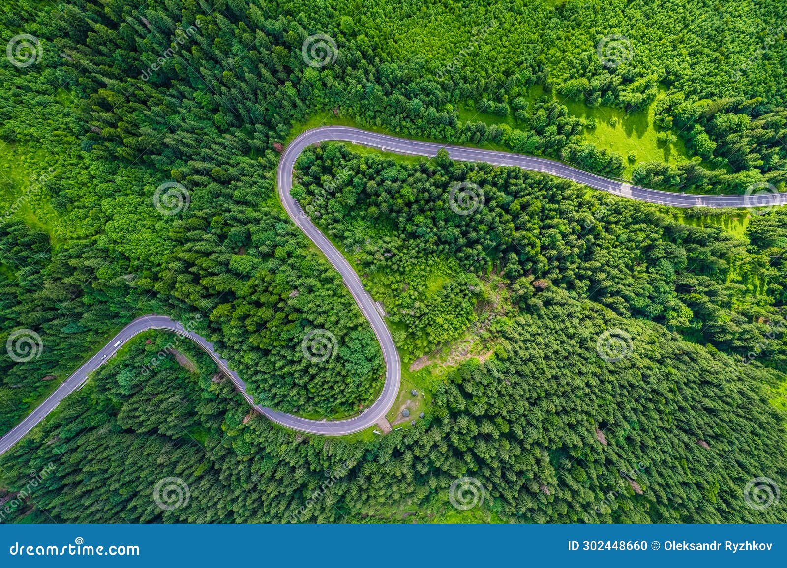 Winding Road Trough Dense Pine Forest. Aerial Drone View Stock Photo ...