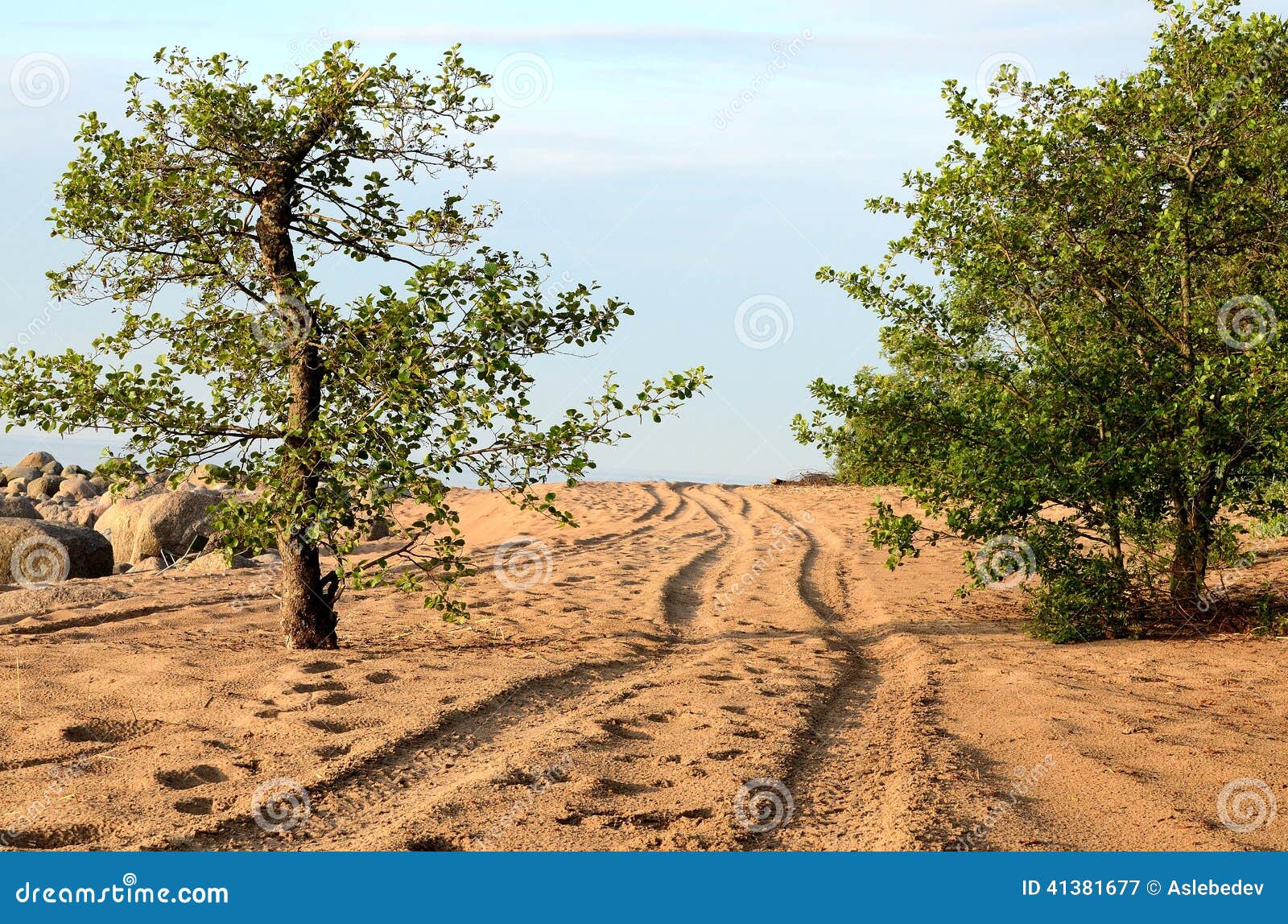 Winding Road between Two Trees Stock Image - Image of outdoor, light ...