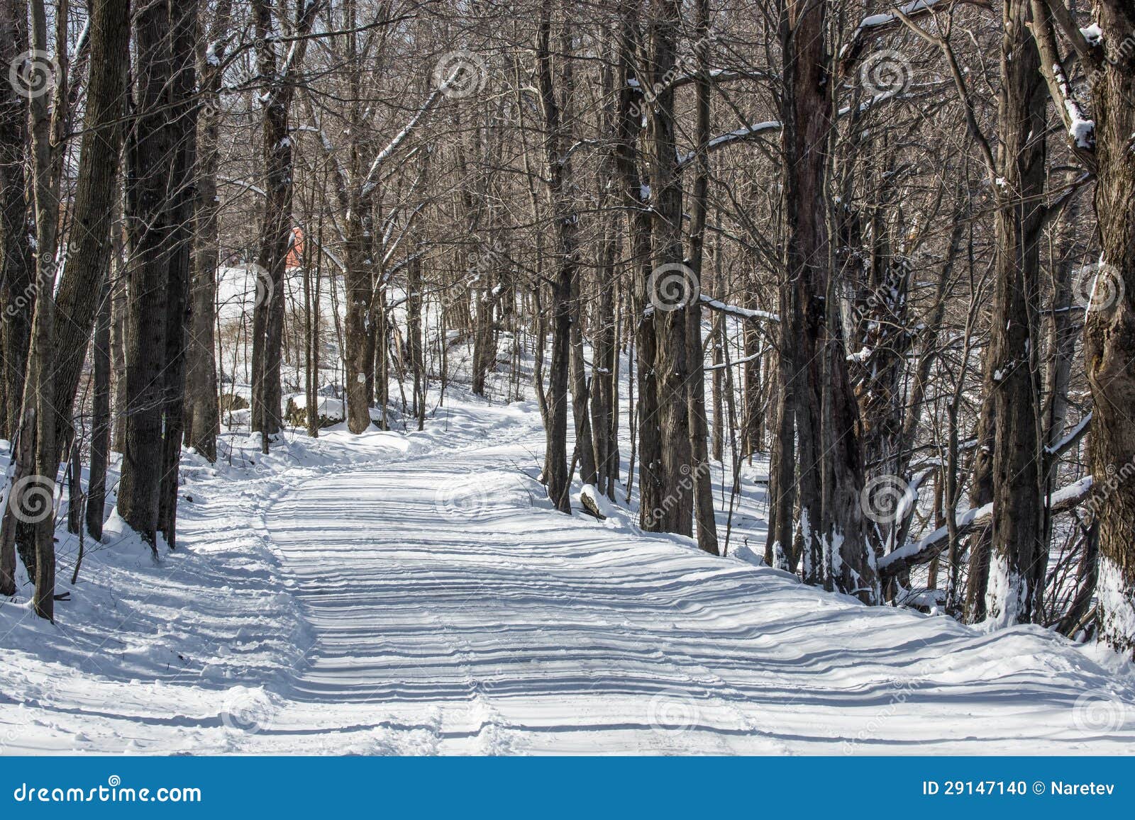 Winding Snow Covered Country Road Stock Photo - Image of cool, nature ...