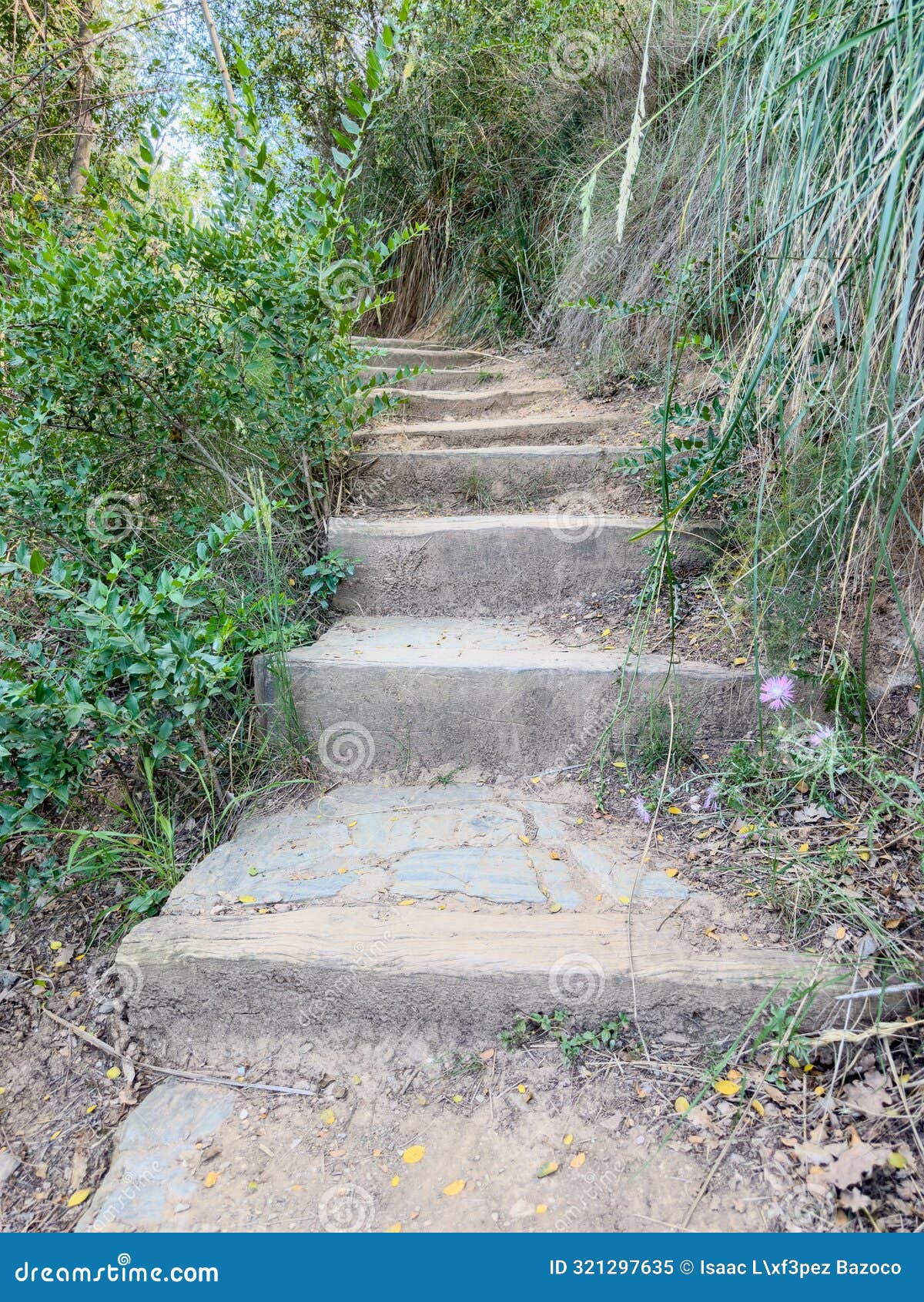 Winding stairway Mountain stock image. Image of hill - 321297635