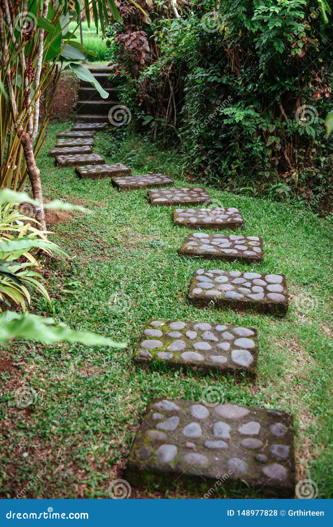 Winding Stone Path in the Green Garden. Stock Photo - Image of plants ...