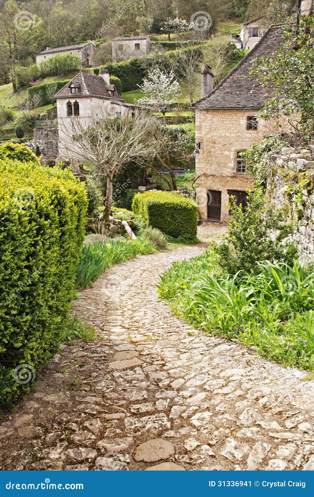 Path In Cottage Garden Full Of Colourful Flowers, Shrubs, Trees ...
