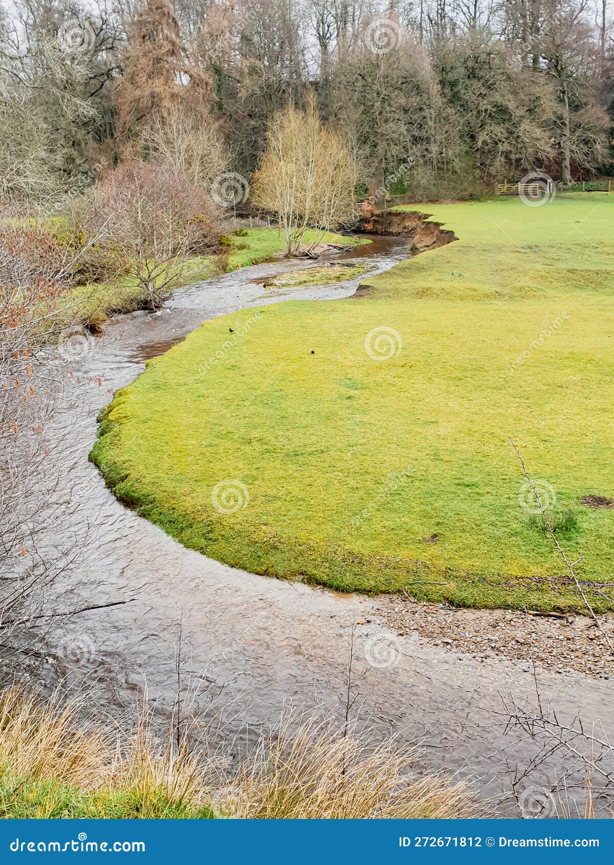 Winding Stream in Fields at Winter Stock Photo - Image of parkland ...