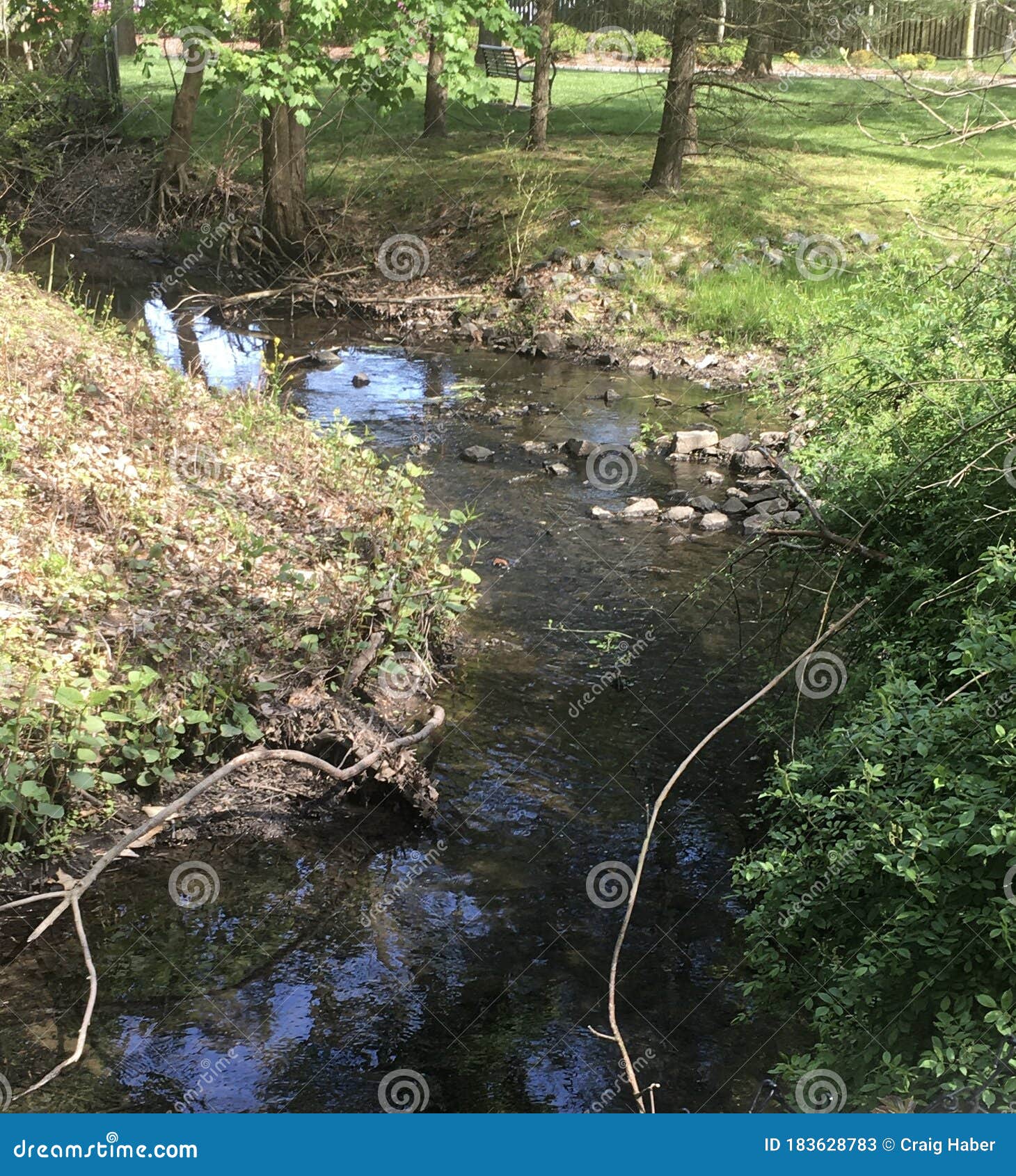 A Winding Stream stock image. Image of streams, stream - 183628783