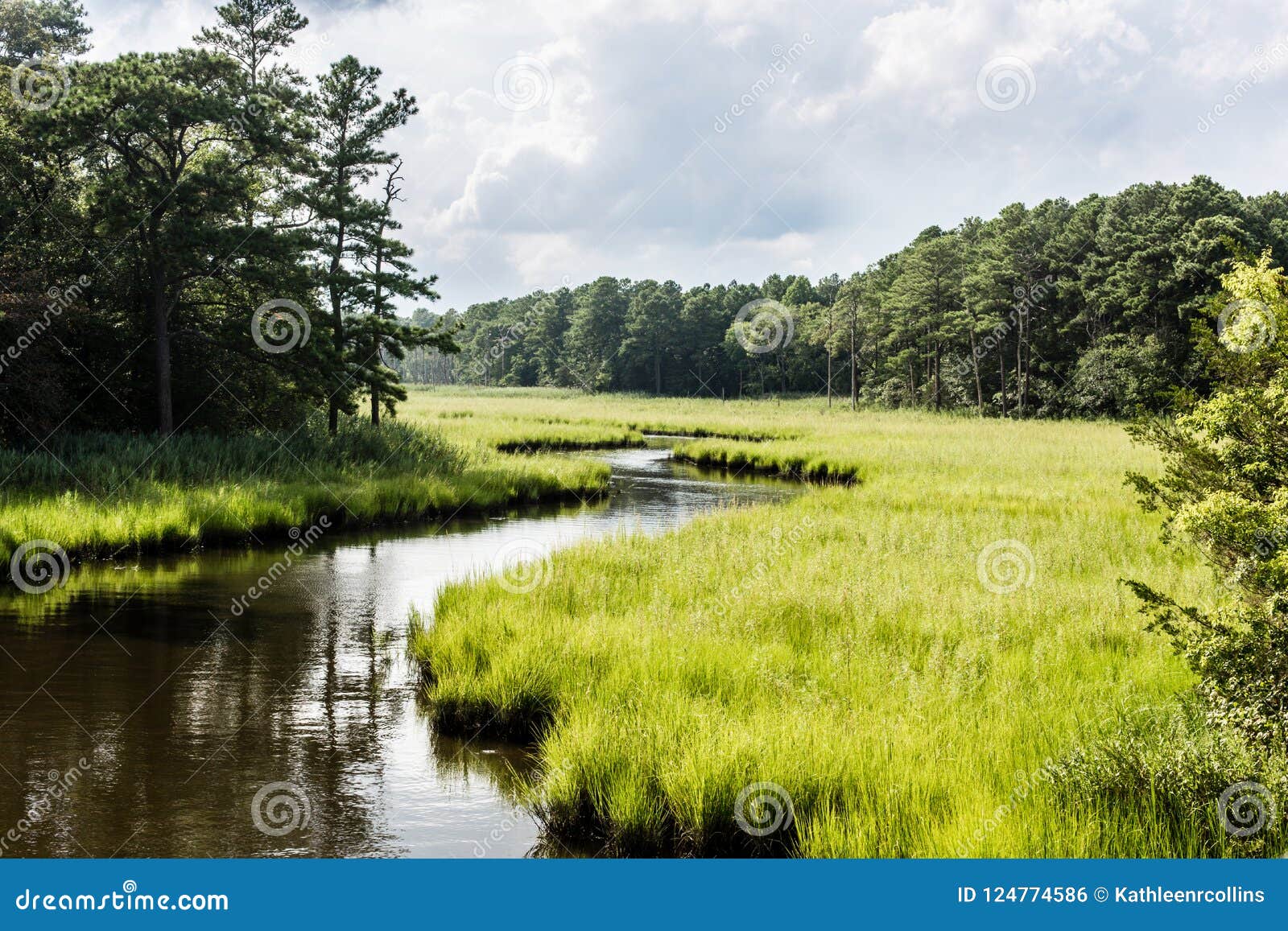 Winding Stream through Salt Marsh Stock Photo - Image of atlantic ...