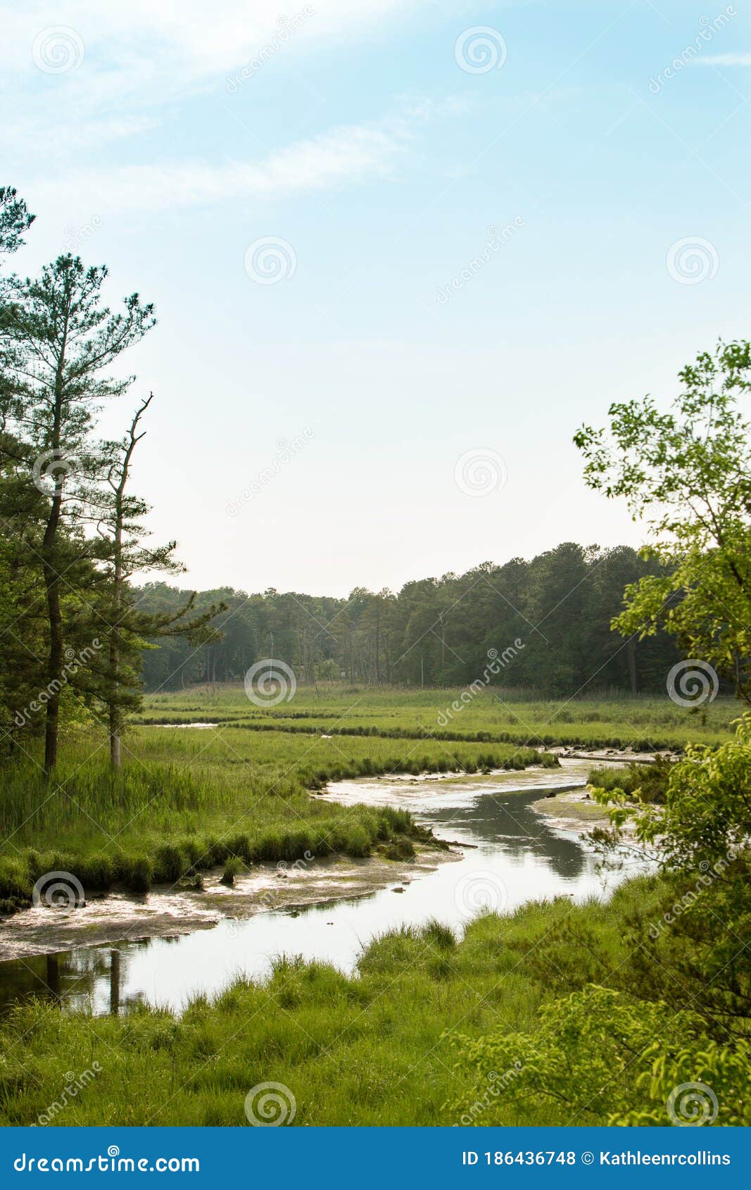 Stream through marsh field stock photo. Image of coastal - 186436748