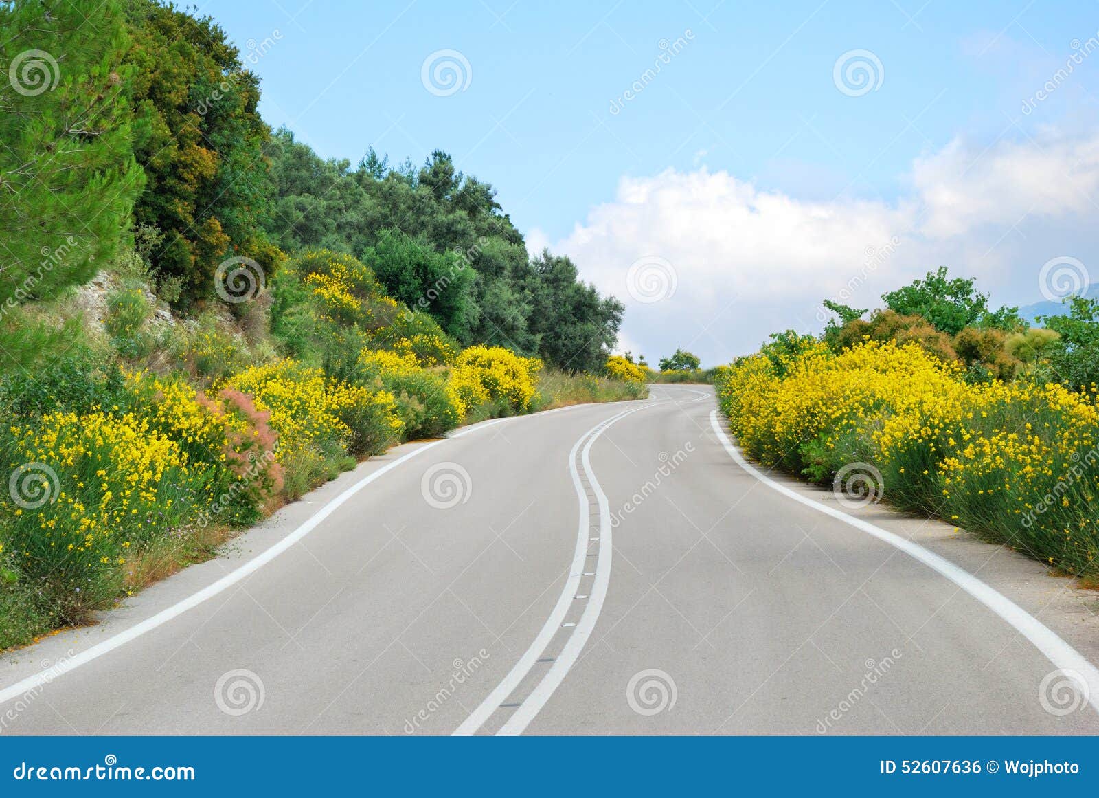 Winding Tarmac Road with Flowers Stock Photo - Image of europe, line ...