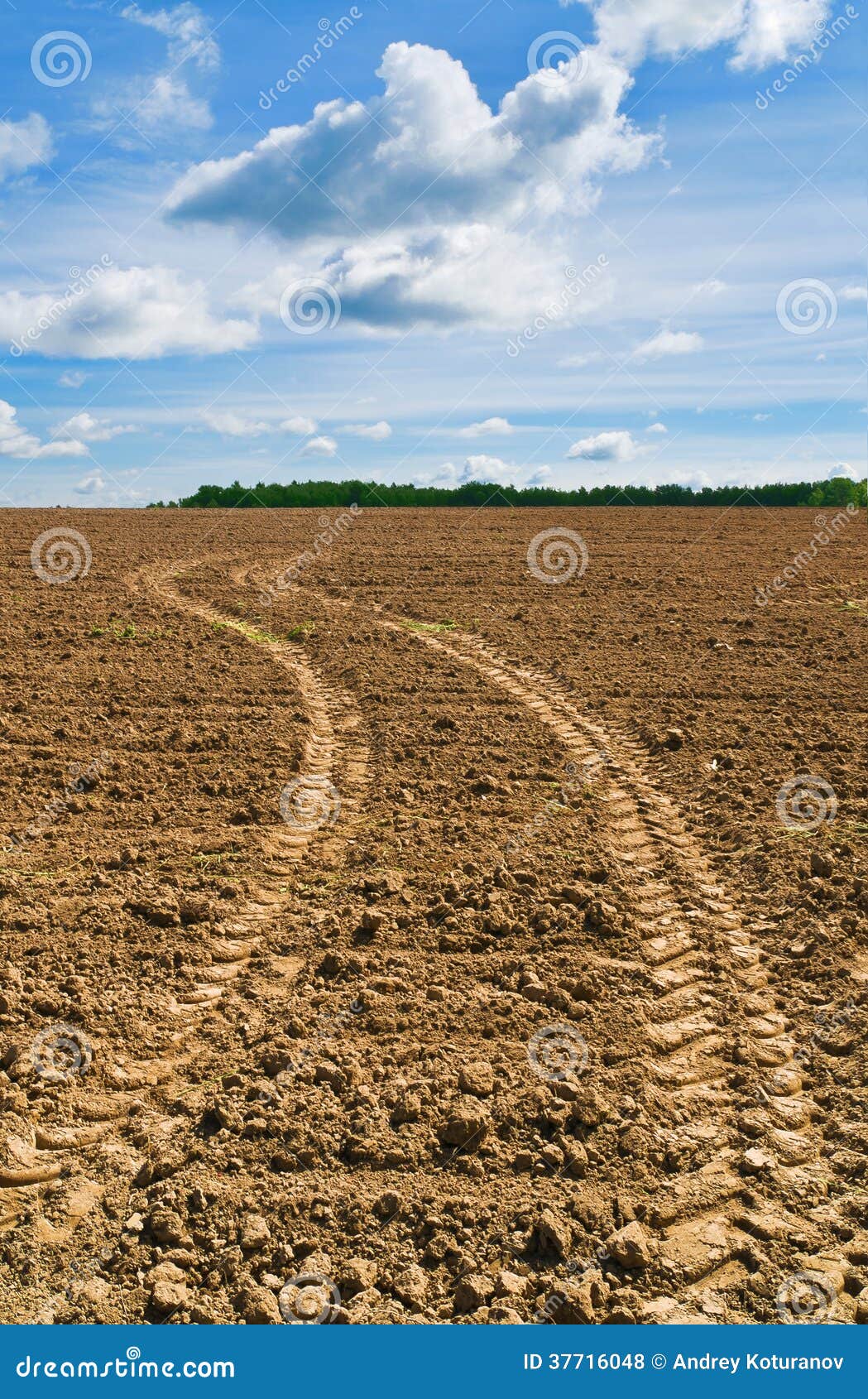 Winding track stock photo. Image of spring, natural, snaky - 37716048