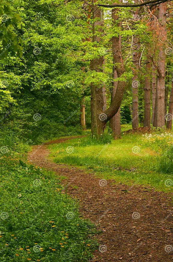 Winding Trail stock image. Image of nature, trail, walk - 137825