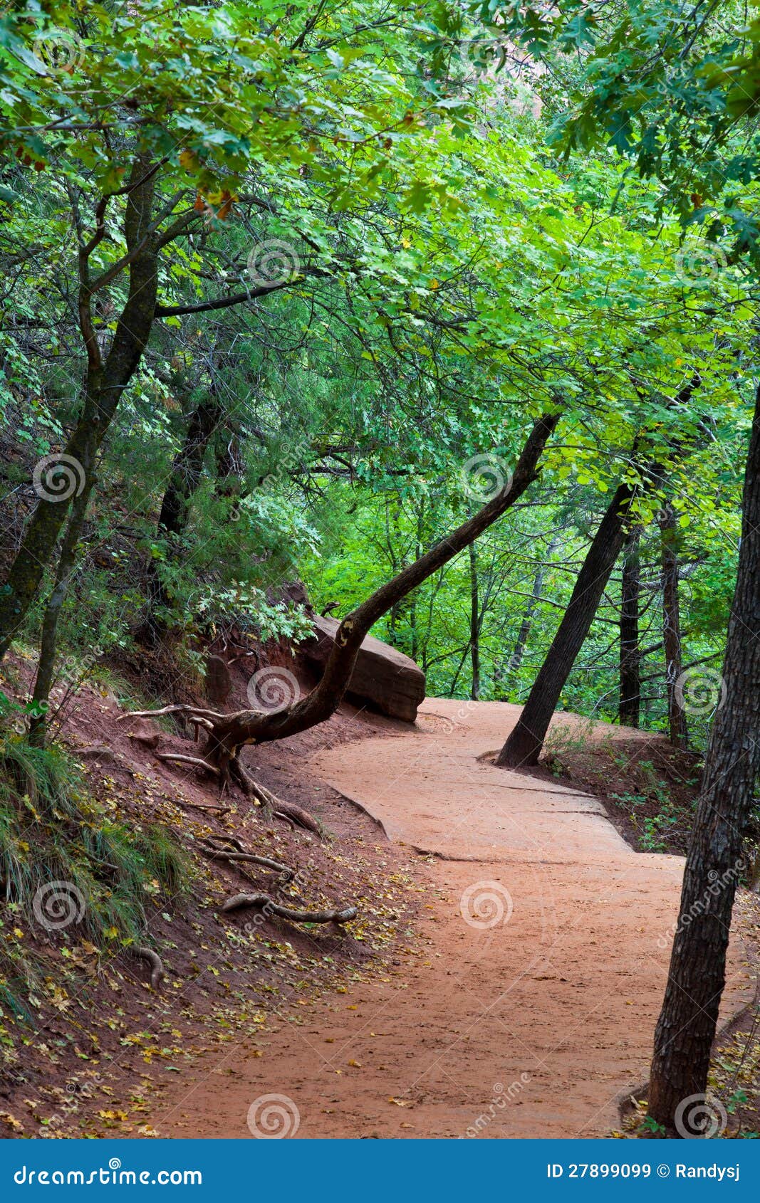 Winding Trail stock image. Image of winding, zions, beautiful - 27899099