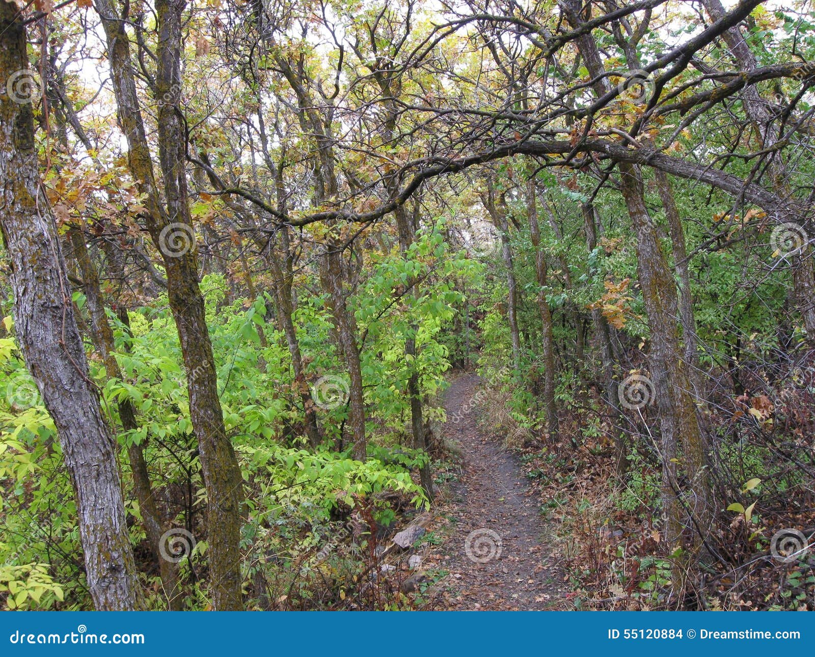 Winding Trail in the Mountains Stock Photo - Image of winding, fall ...