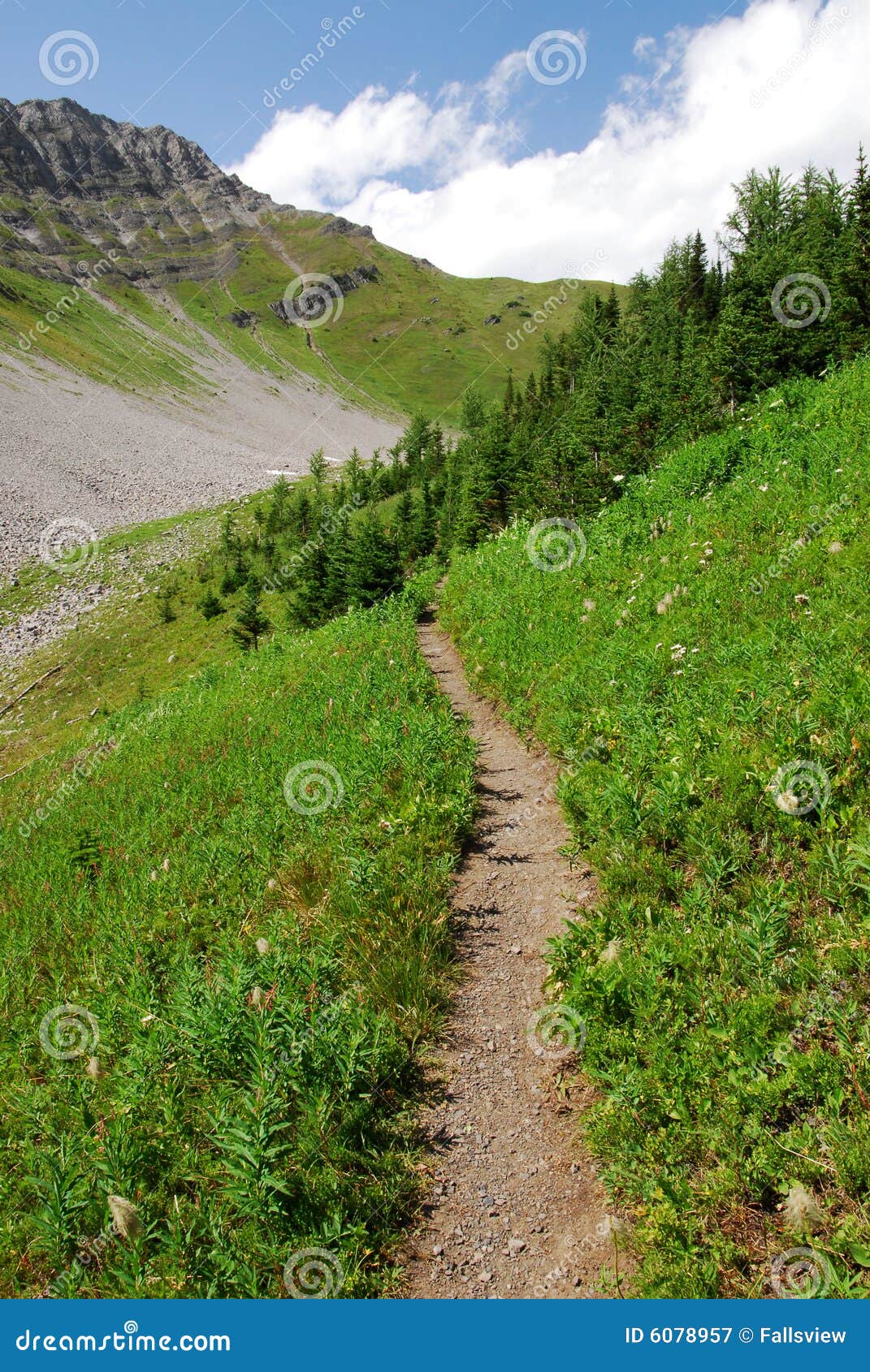 Winding Mountain Path