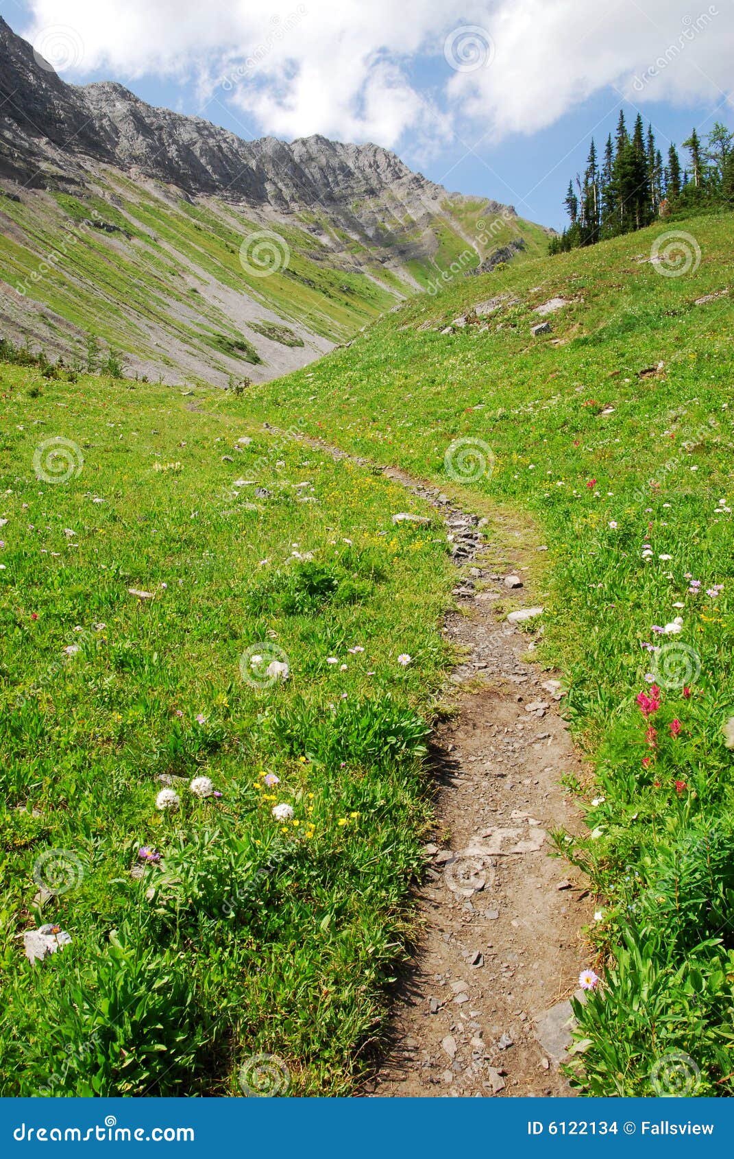 Winding Trail To Mountain Top Stock Photo - Image of decline, meadows ...