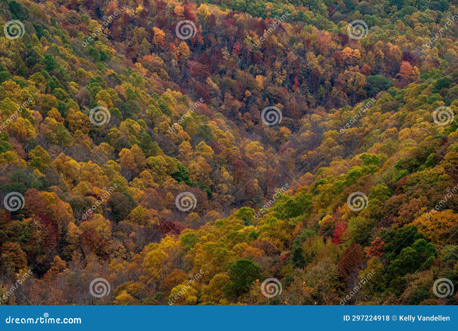 Winding Valley of Trees Changing Color in Fall Stock Photo - Image of ...