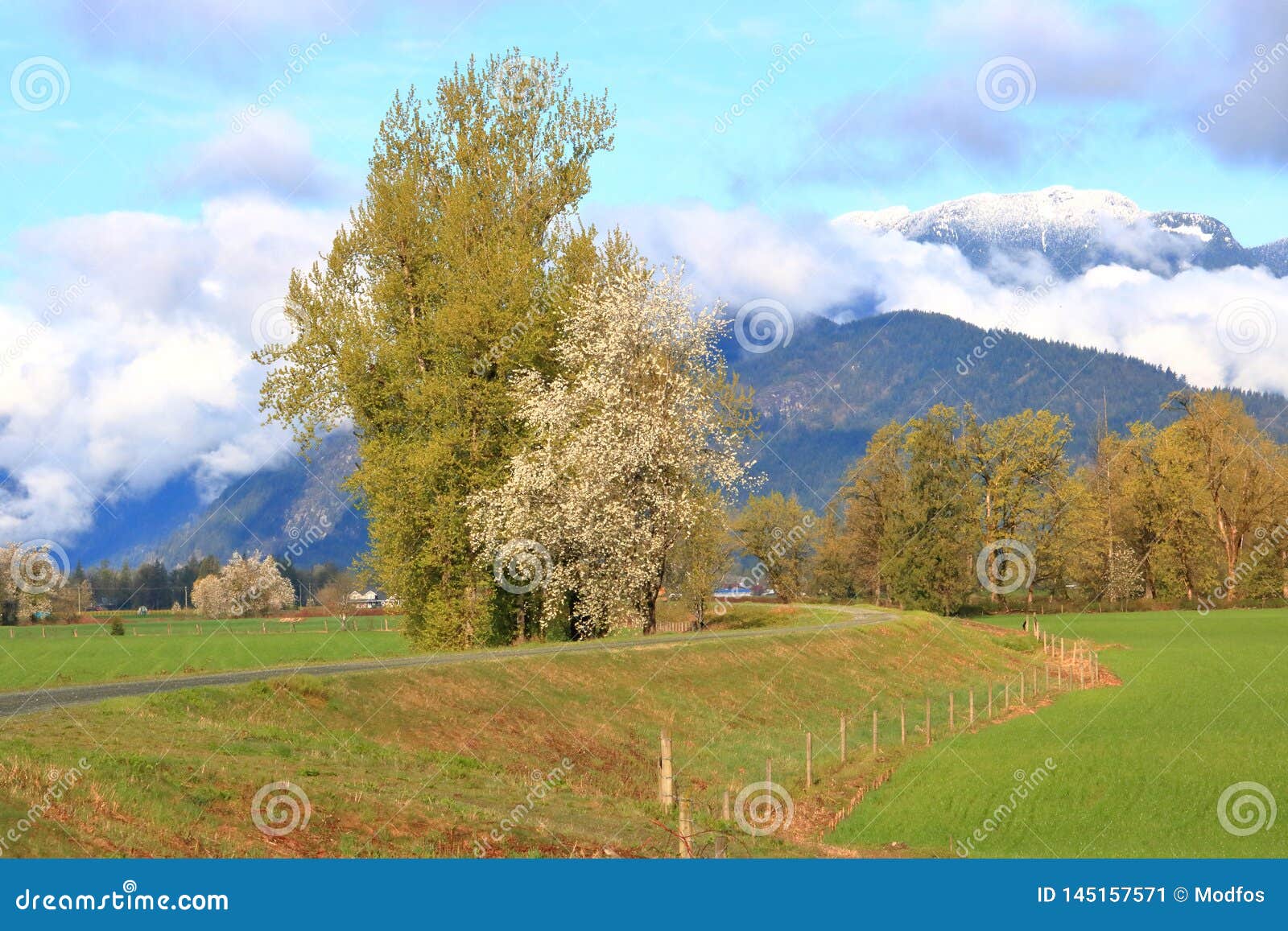 Winding Walking Path and Nature Stock Image - Image of elevated, foot ...