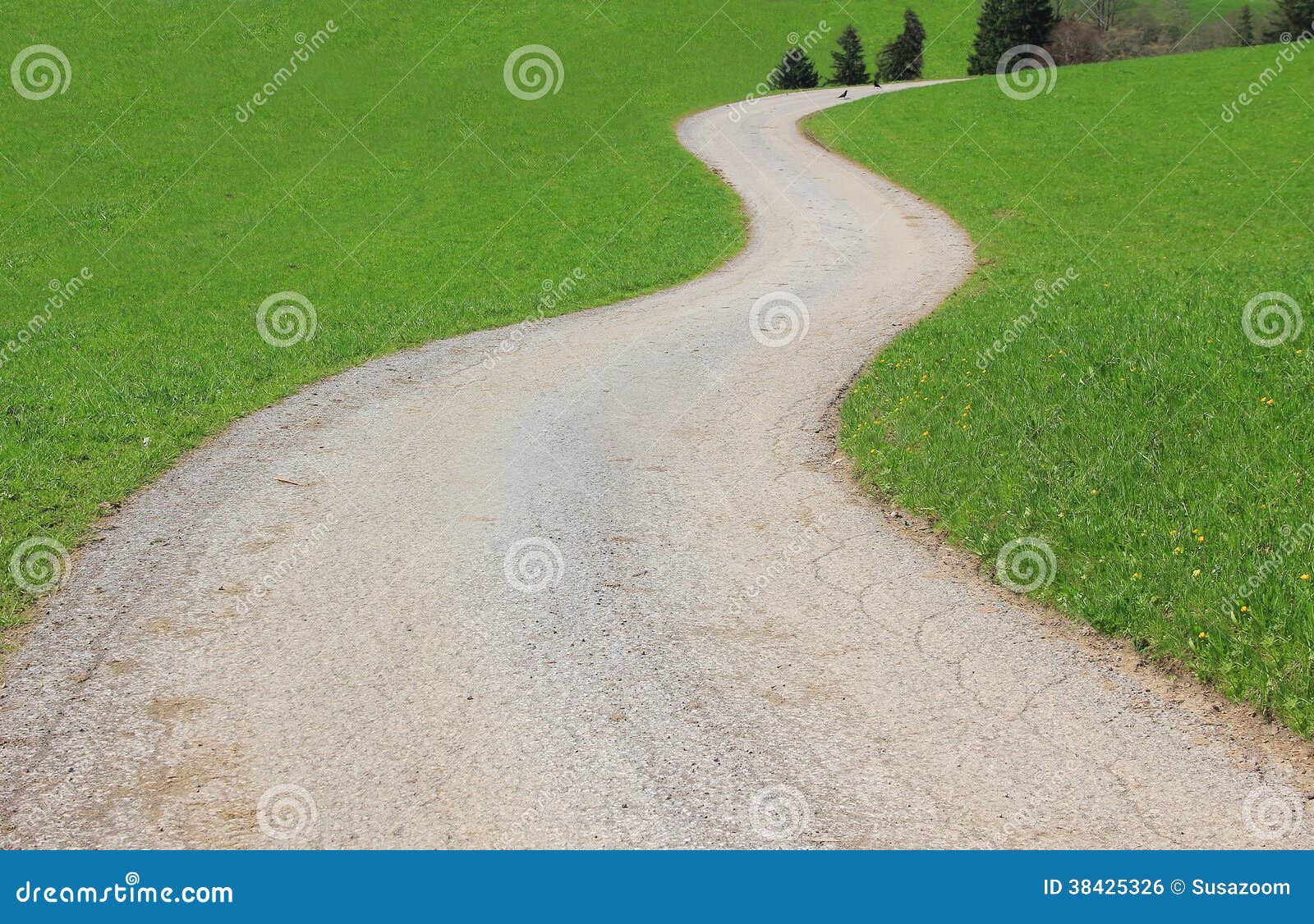 Winding way stock photo. Image of agriculture, nonurban - 38425326