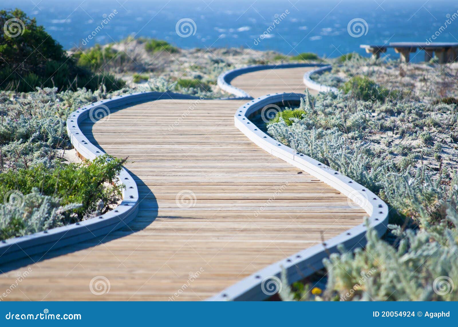 Winding Wooden Walkway Leading Towards the Ocean Stock Photo - Image of ...