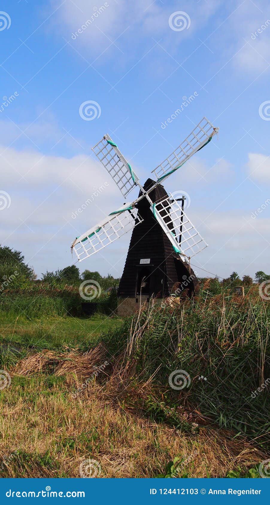 Windmühle an Wicken-Fenn, England Stockbild - Bild von eingebürgert ...