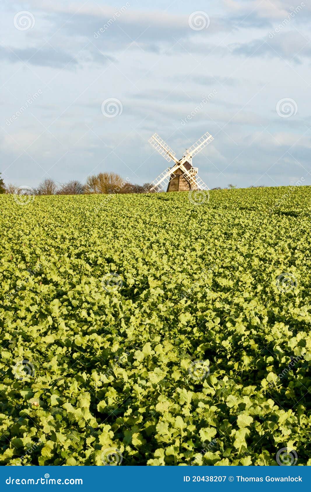 Windmill stock image. Image of farm, green, field, outside - 20438207