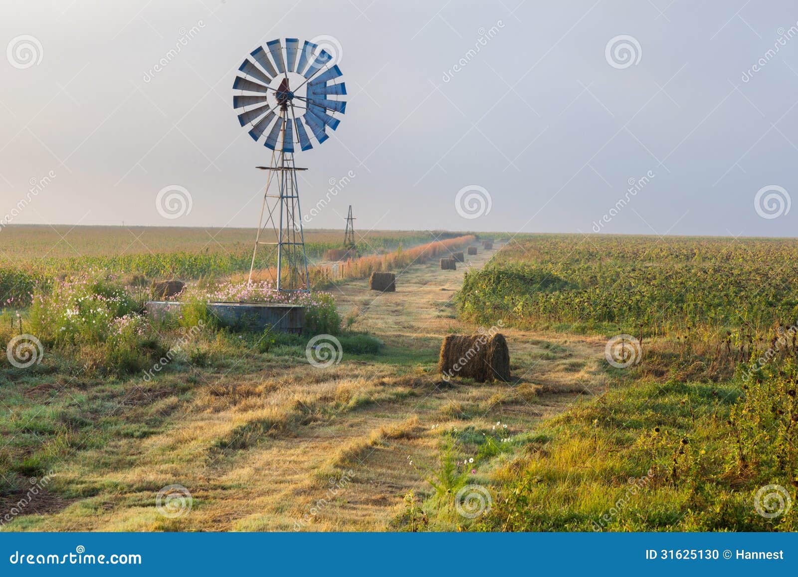 Windmill along the line stock photo. Image of nature - 31625130