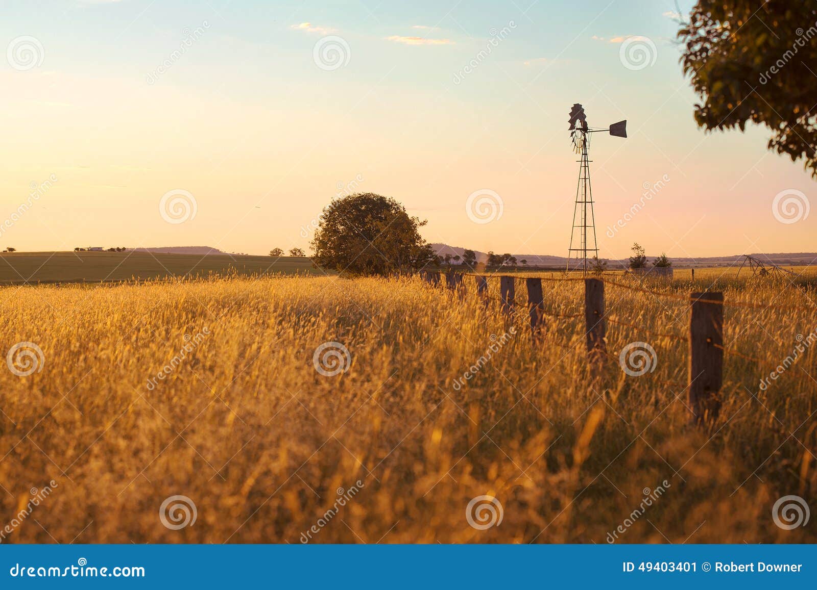 Windmill in Brisbane stock image. Image of tree, warming - 49403401