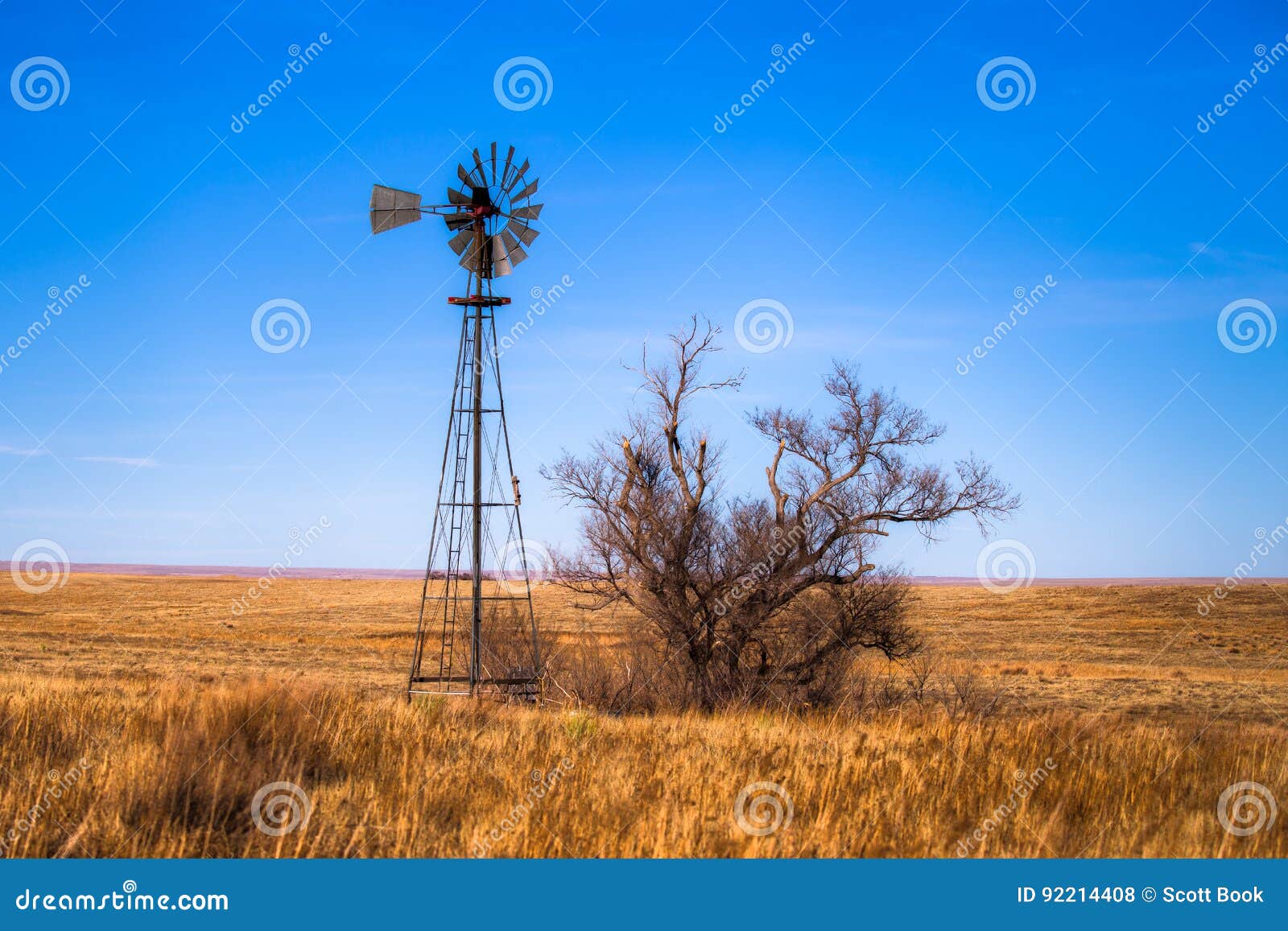 Windmill on the Colorado Plains Stock Photo - Image of prarie, tree ...