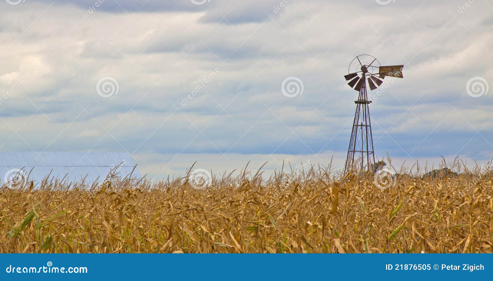 Windmill corn field stock image. Image of dramatic, dusk - 21876505